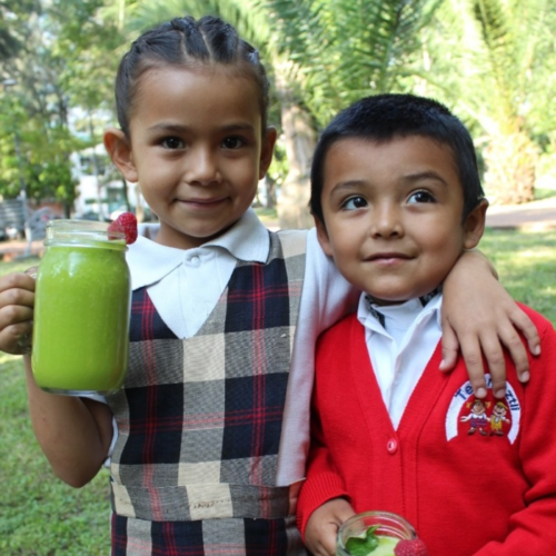 DSCB – diamondseedcharity